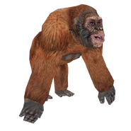 Gigantopithecus | Zoo Tycoon Wiki | Fandom