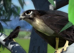 Zoo Tycoon Wiki | Fandom