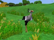 Secretary Bird | Zoo Tycoon Wiki | Fandom