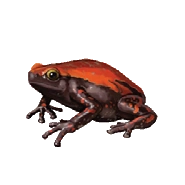 West African Rubber Frog | Zoo Tycoon Wiki | Fandom