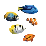 Coral Reef Fish | Zoo Tycoon Wiki | Fandom