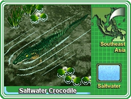 Saltwater Crocodile | Zoo Tycoon Wiki | Fandom