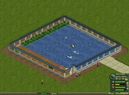 Saltwater Crocodile | Zoo Tycoon Wiki | Fandom