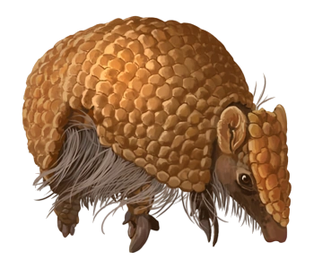 Brazilian Three-Banded Armadillo | Zoo Tycoon Wiki | Fandom