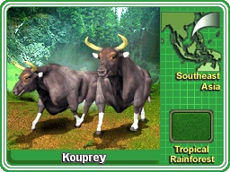 Kouprey | Zoo Tycoon Wiki | Fandom