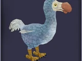 Category:Birds | Zoo Tycoon Wiki | Fandom