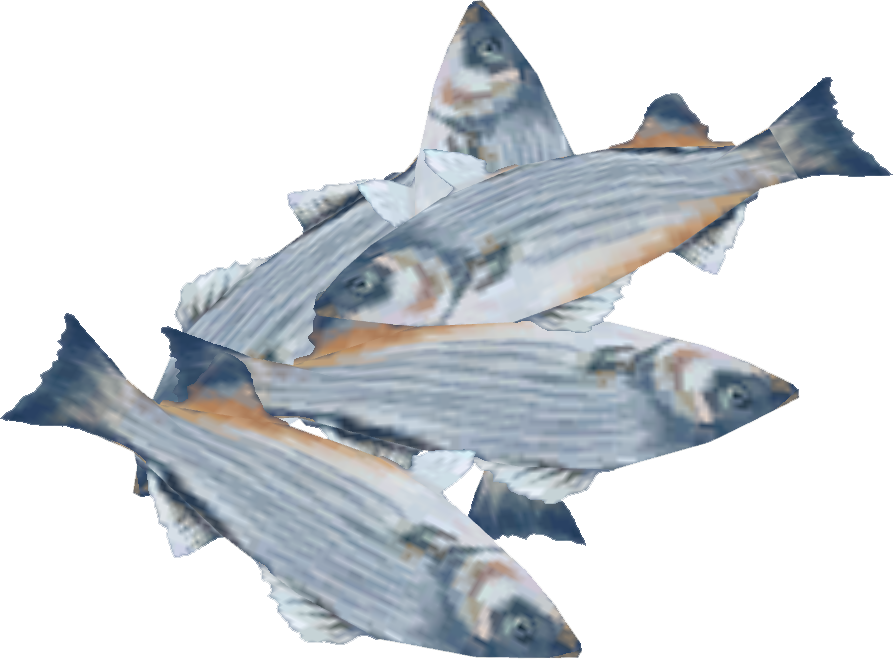 Fish | Zoo Tycoon Wiki | Fandom