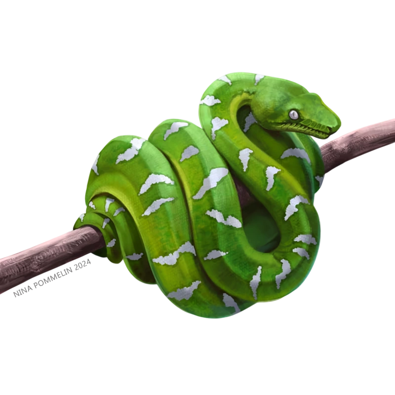Emerald Tree Boa | Zoo Tycoon Wiki | Fandom