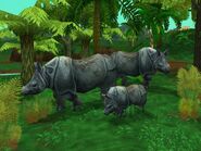 Javan Rhinoceros | Zoo Tycoon Wiki | Fandom