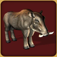 Warthog | Zoo Tycoon Wiki | Fandom
