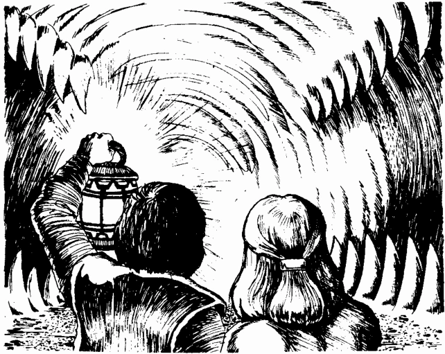 Cavern of Doom | Zork Wiki | Fandom