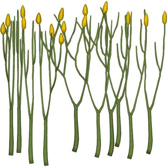 Category:Prehistoric Foliage | ZT2 Download Library Wiki | Fandom