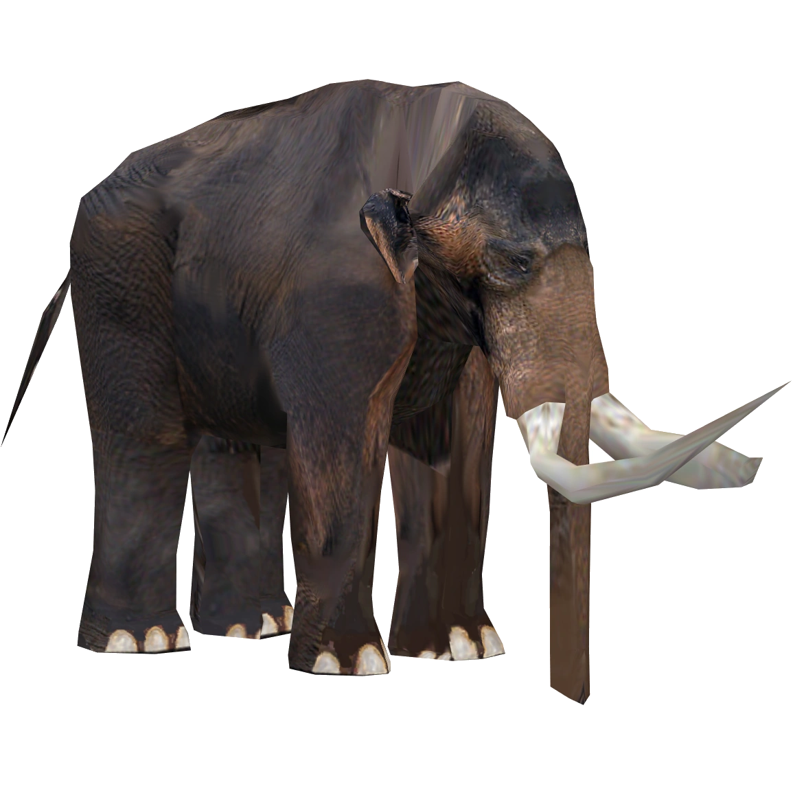 Imperial Mammoth