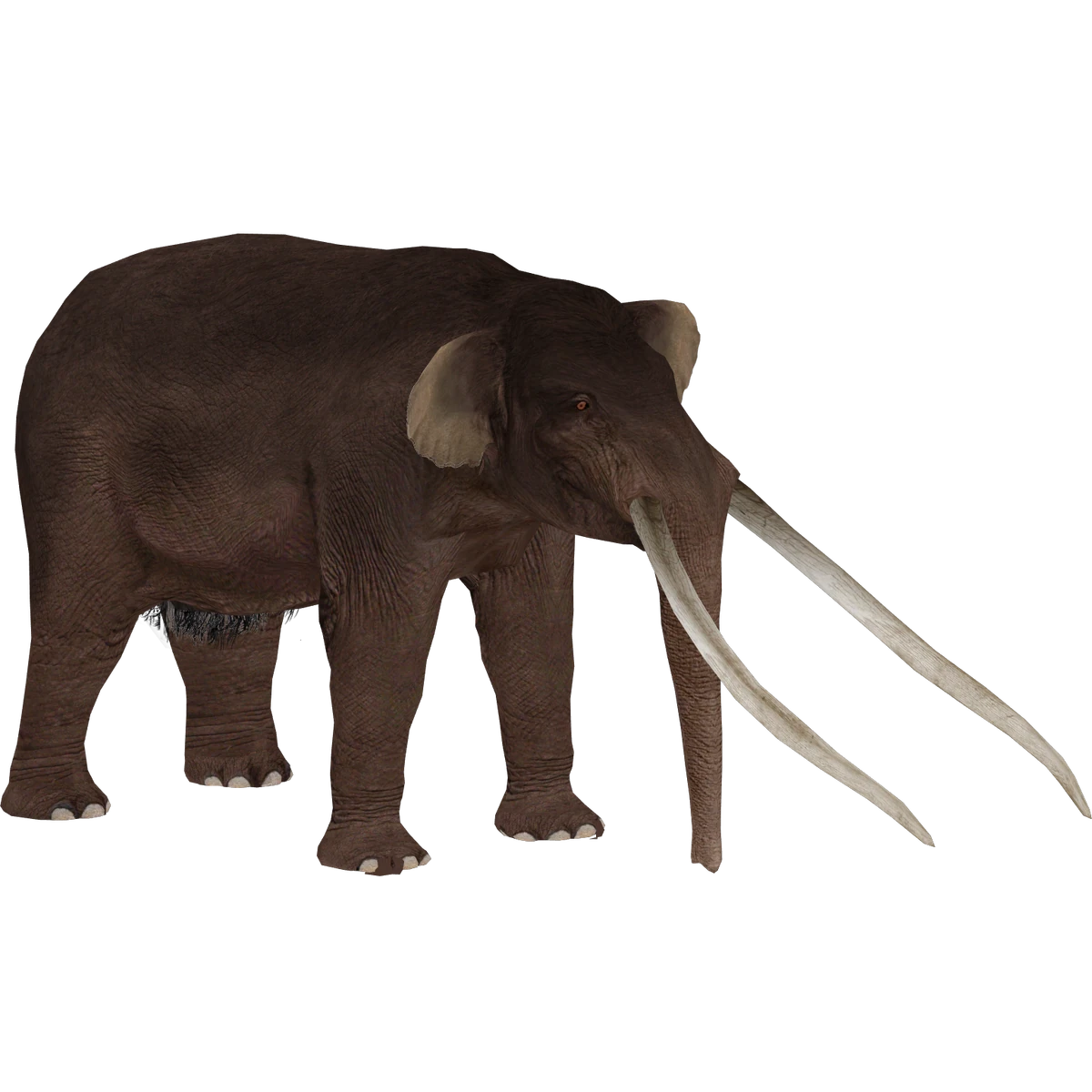 Anancus (Demon Hunter) | ZT2 Download Library Wiki | Fandom