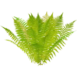 Category:2022 | ZT2 Download Library Wiki | Fandom