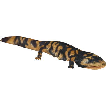 Siderops (Demon Hunter) | ZT2 Download Library Wiki | Fandom