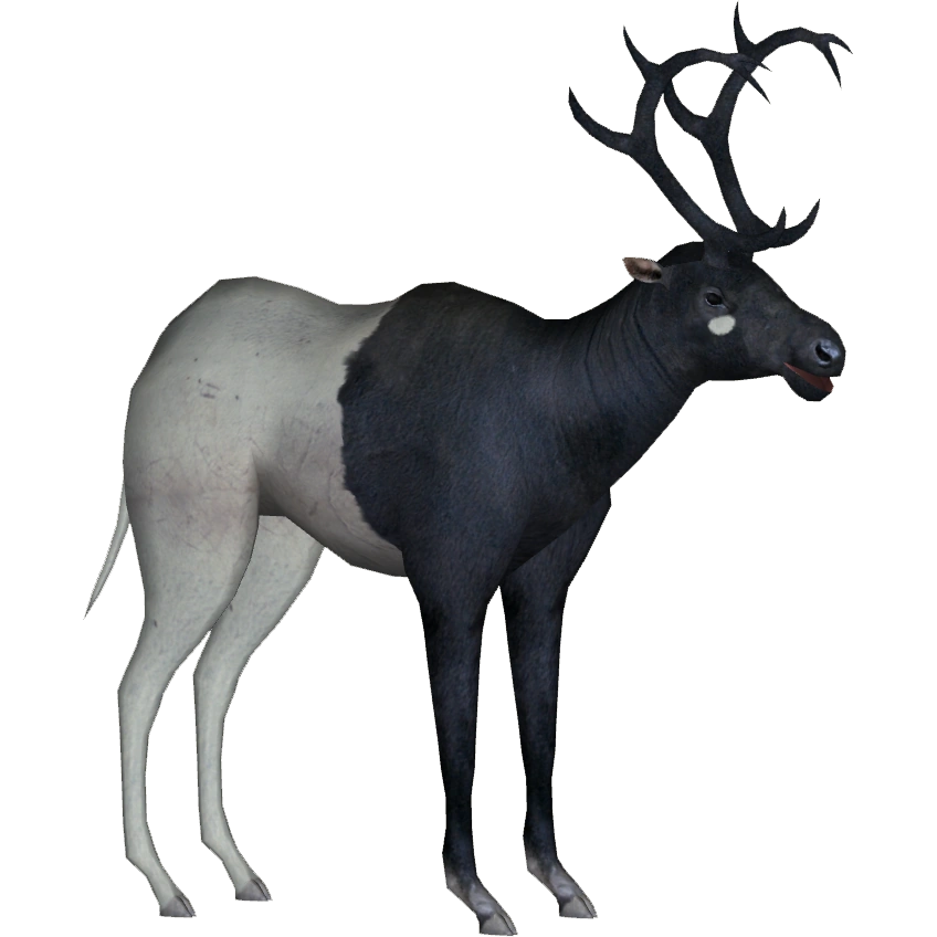 Climacoceras (Philly) | ZT2 Download Library Wiki | Fandom