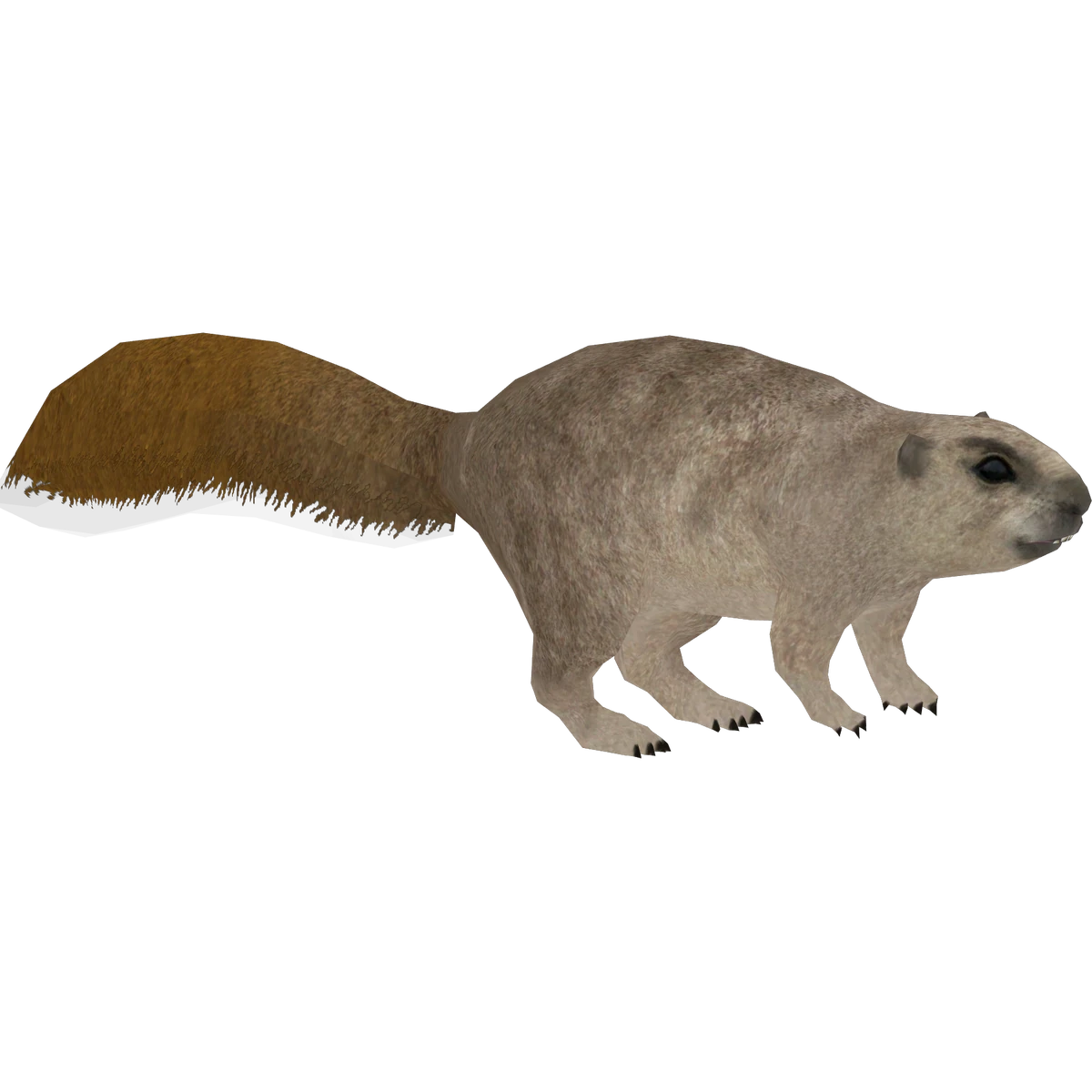 Giant Ground Squirrel (Demon Hunter) | ZT2 Download Library Wiki | Fandom