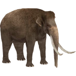 Category:Stegodonts | ZT2 Download Library Wiki | Fandom