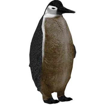 Kupoupou (Demon Hunter) | ZT2 Download Library Wiki | Fandom