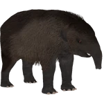 Category:Extinct Proboscideans | ZT2 Download Library Wiki | Fandom