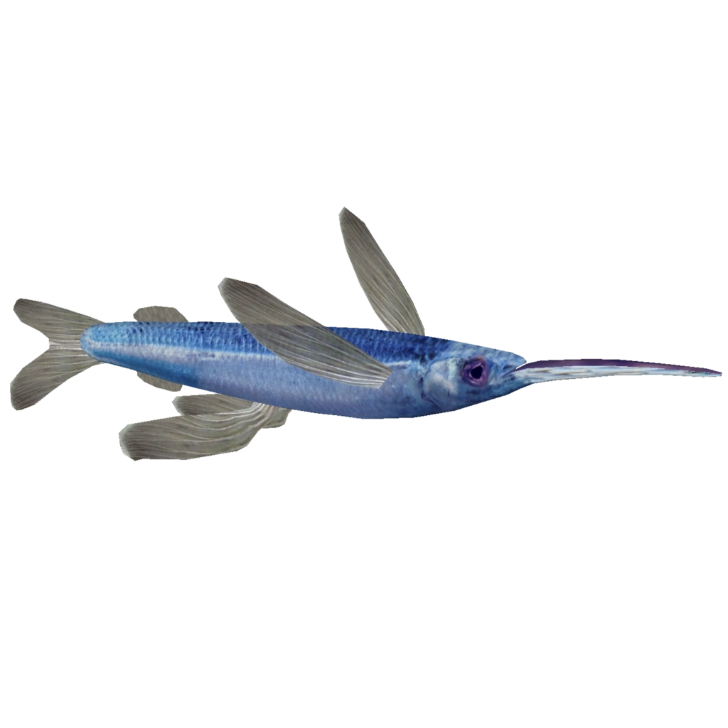 Rhamphexocoetus (Imago) | ZT2 Download Library Wiki | Fandom