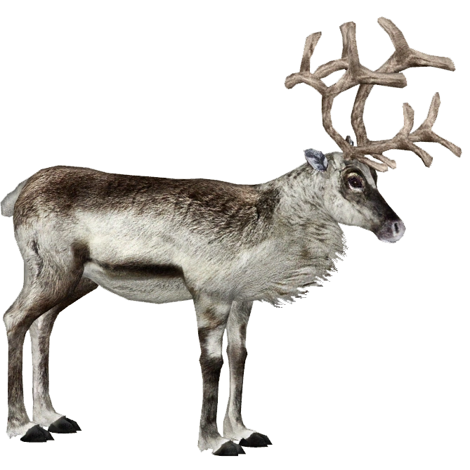 European Reindeer (ZTABC Team) | ZT2 Download Library Wiki | Fandom