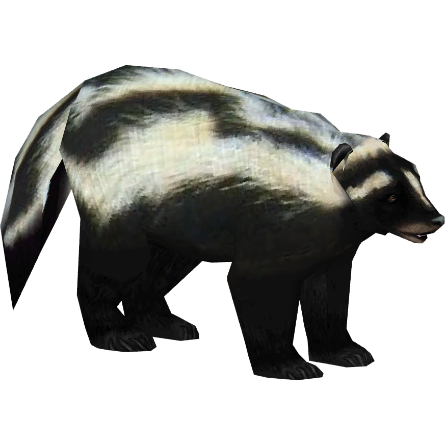 Zorilla