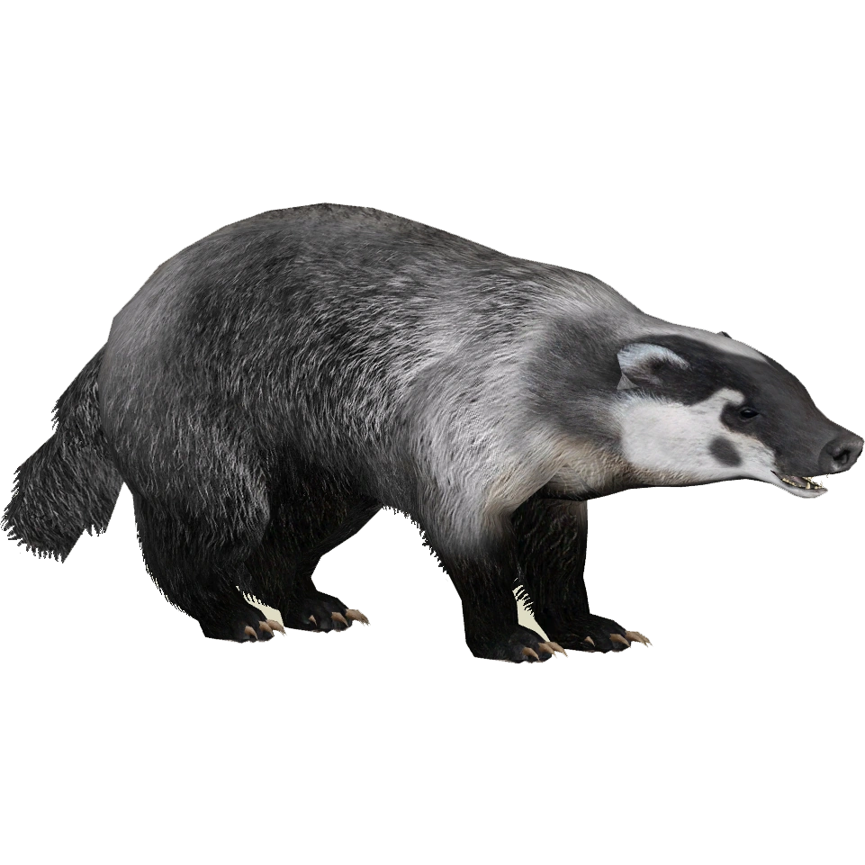 American Badger (Iguano & Maximilian) | ZT2 Download Library Wiki | Fandom