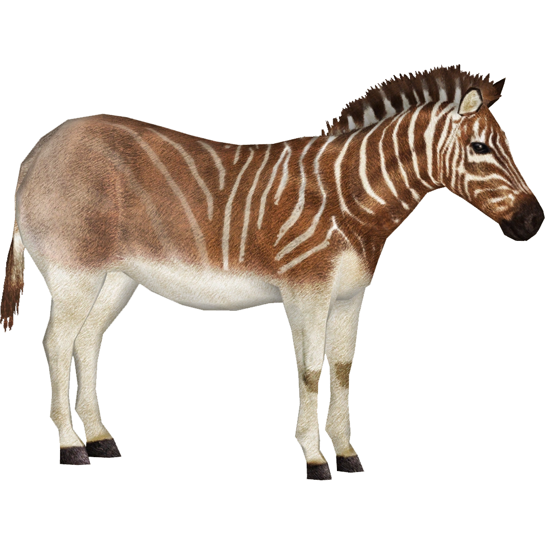 Indian Zebra (Palaeoloxodon28) | ZT2 Download Library Wiki | Fandom