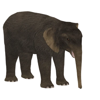 Archaeobelodon (Demon Hunter) | ZT2 Download Library Wiki | Fandom