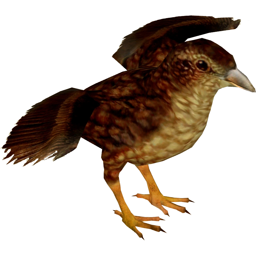 Stephen Island Wren (Whalebite)/Version 1 | ZT2 Download Library Wiki ...