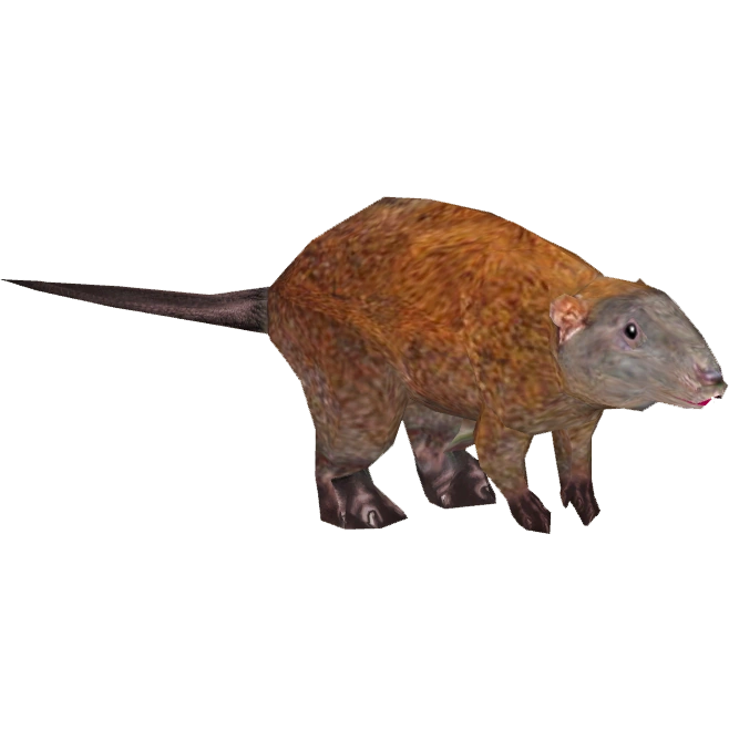 Musky Rat Kangaroo (Tamara Henson) | ZT2 Download Library Wiki | Fandom