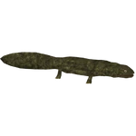 Category:Extinct Amphibians | ZT2 Download Library Wiki | Fandom