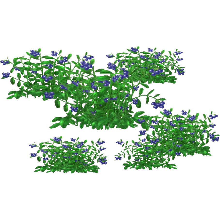 Bilberry (Zeta-Designs) | ZT2 Download Library Wiki | Fandom