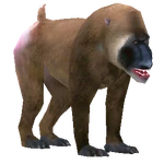 Category:Old World Monkeys | ZT2 Download Library Wiki | Fandom