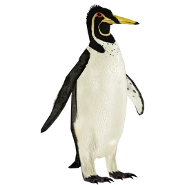 Icadyptes (Demon Hunter) | ZT2 Download Library Wiki | Fandom