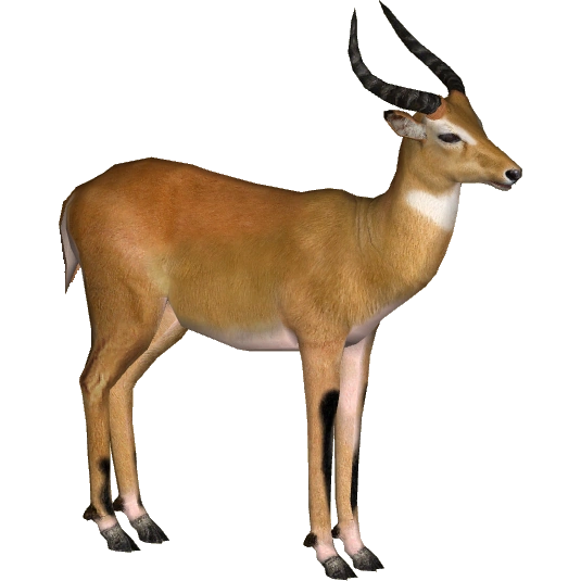 Kob (DutchDesigns) | ZT2 Download Library Wiki | Fandom