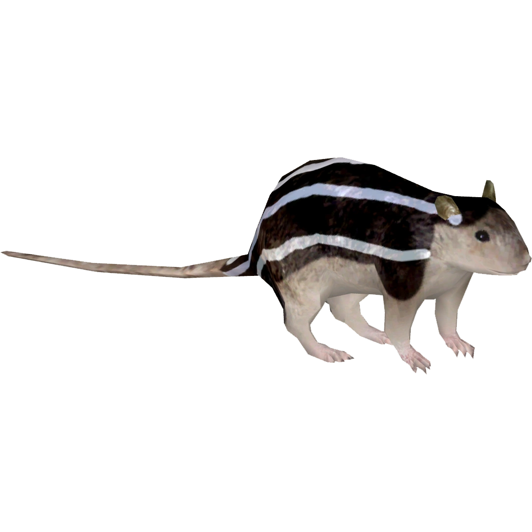 Barbary Zebra Mouse (Dedennedillo) | ZT2 Download Library Wiki | Fandom