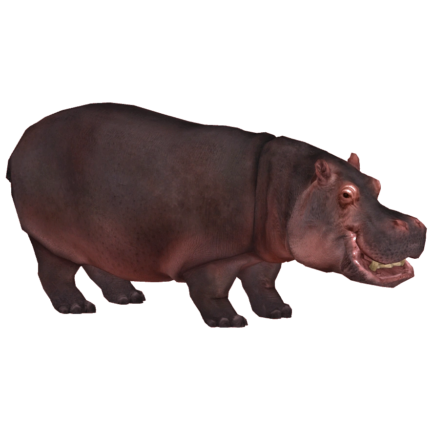 Hippopotamus (stewe90) | ZT2 Download Library Wiki | Fandom