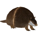 Category:Giant Armadillos (Demon Hunter) | ZT2 Download Library Wiki | Fandom