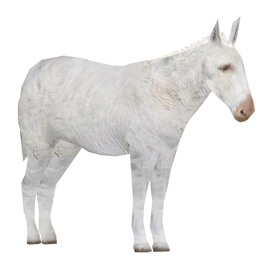 Asino Asinara (Slice) | ZT2 Download Library Wiki | Fandom