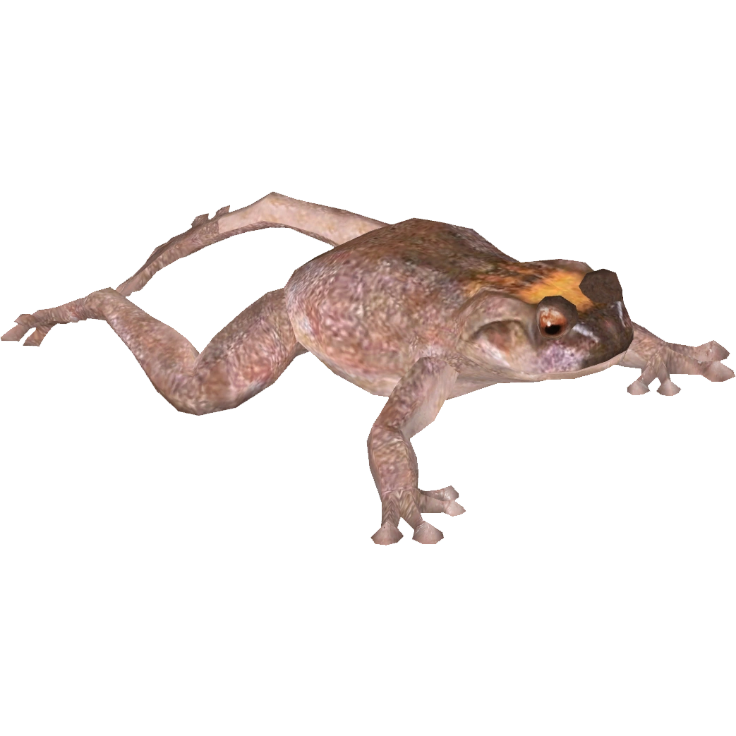Fiji Tree Frog (Tamara Henson) | ZT2 Download Library Wiki | Fandom