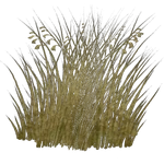 Category:Prehistoric Foliage | ZT2 Download Library Wiki | Fandom