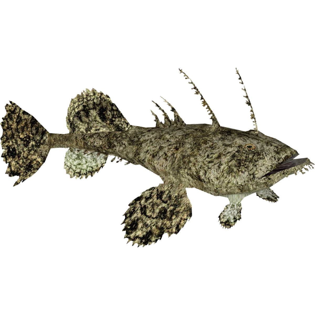 Monkfish (Zerosvalmont) | ZT2 Download Library Wiki | Fandom