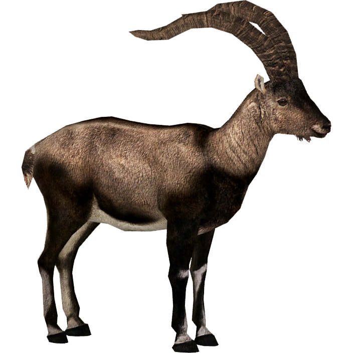 Pyrenean Ibex (ZTABC Team) | ZT2 Download Library Wiki | Fandom