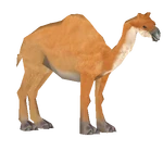 Category:Extinct Camelids | ZT2 Download Library Wiki | Fandom