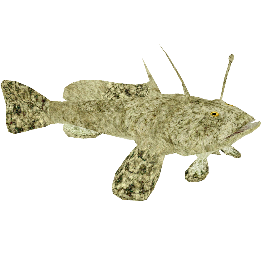 Short-Bodied Goosefish (Imago) | ZT2 Download Library Wiki | Fandom