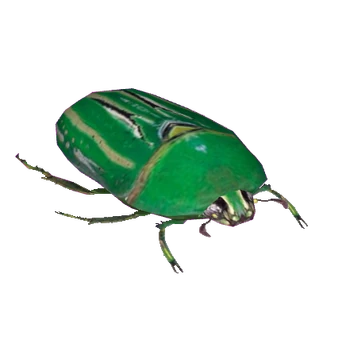 Glorious Scarab (Flish) | ZT2 Download Library Wiki | Fandom