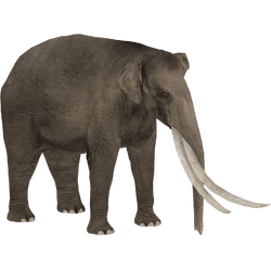 Stegolophodon